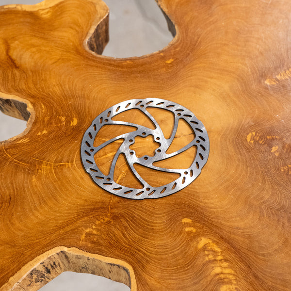 Electric Bike Rotors - Segway - Last Mile